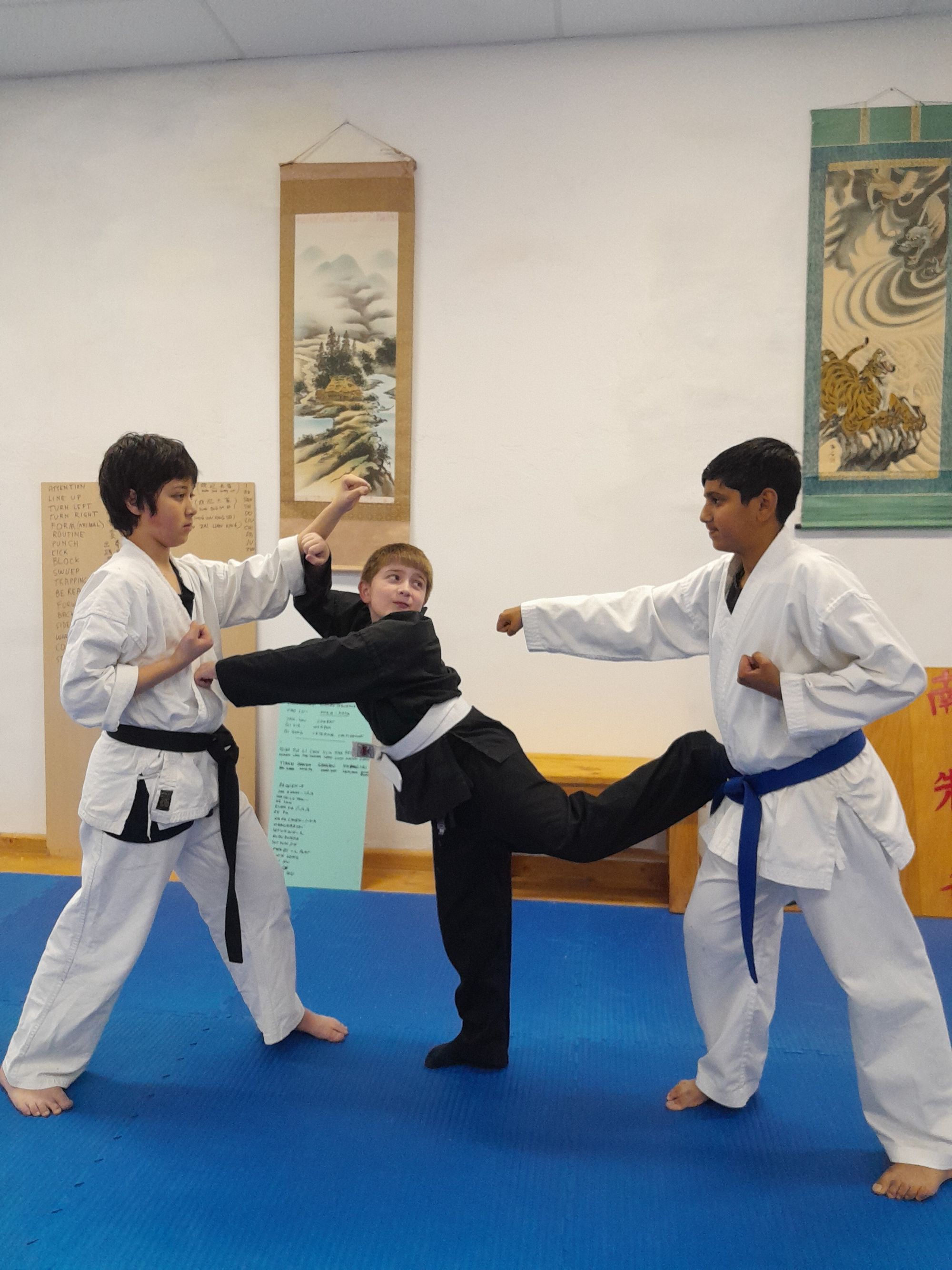 Chinese Australian Martial Arts Society